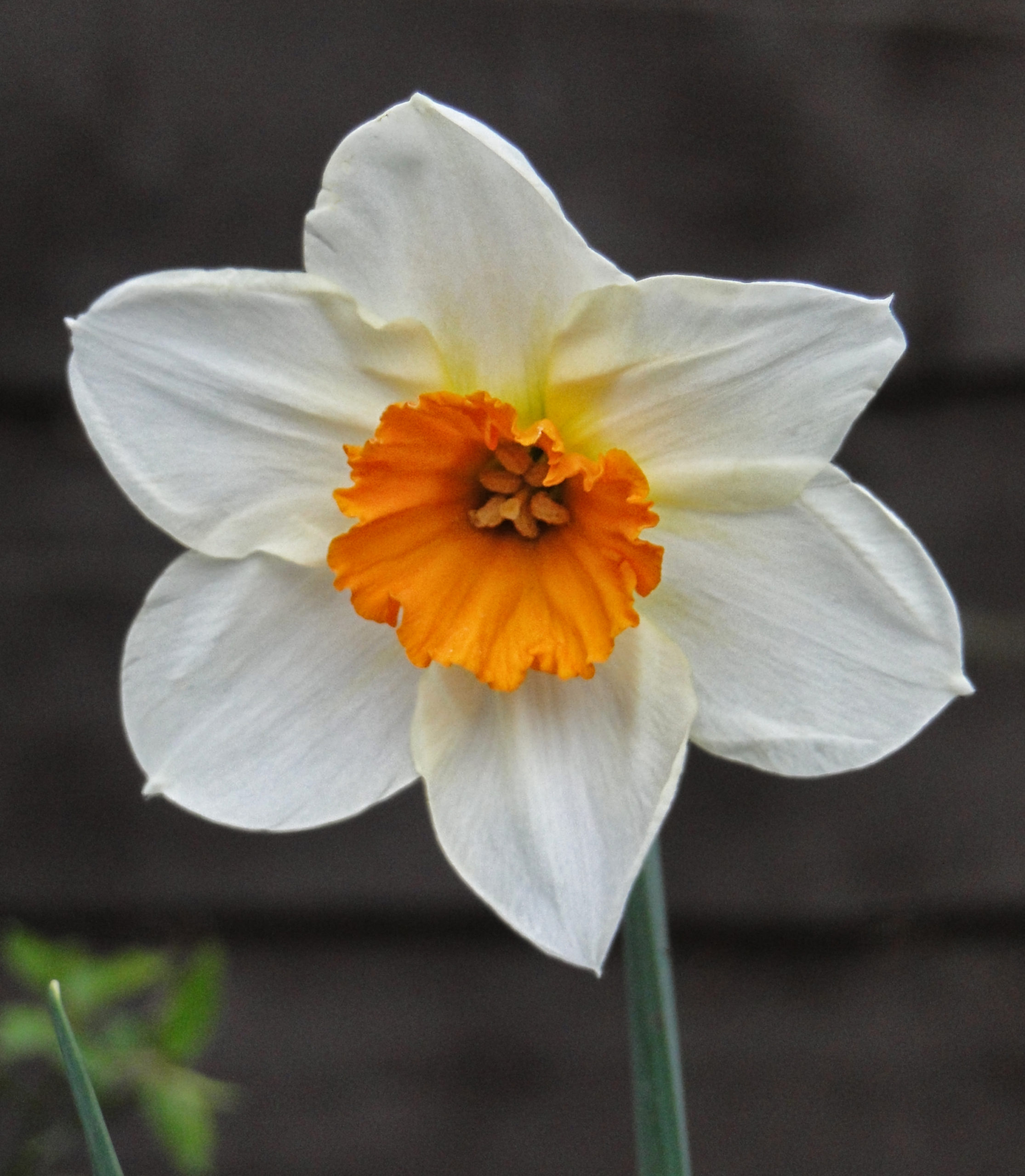 New Monthly Zoom Drop-Ins - Stockport ME Group